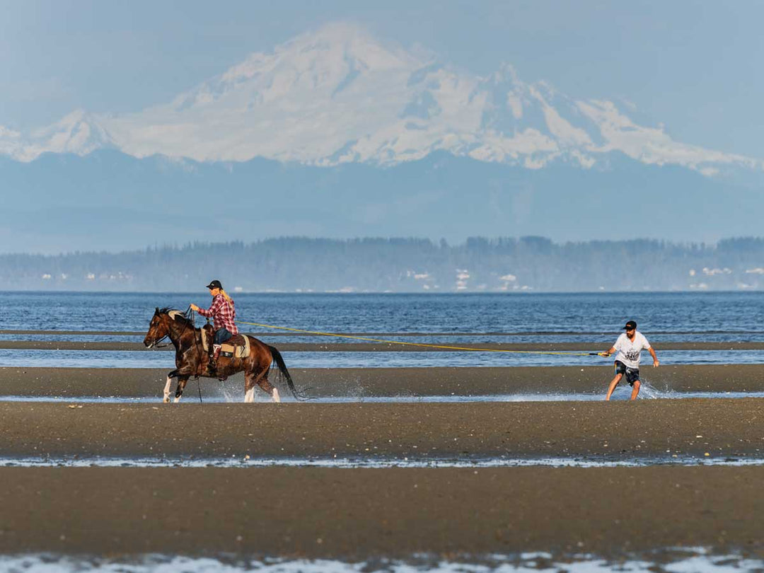 Kayotics - Horse Power